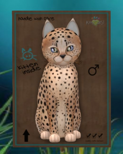 Second Life Marketplace - Cheetah! - Au Natural